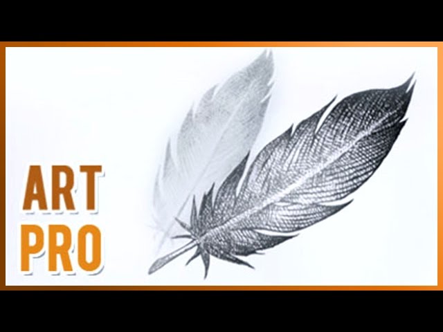 How To Draw A Realistic Feather Step By Step
