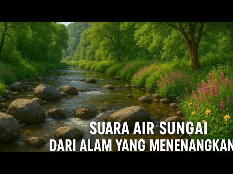 🌊Suara Alam Asli – ASMR Sungai untuk Tidur & Meditasi
