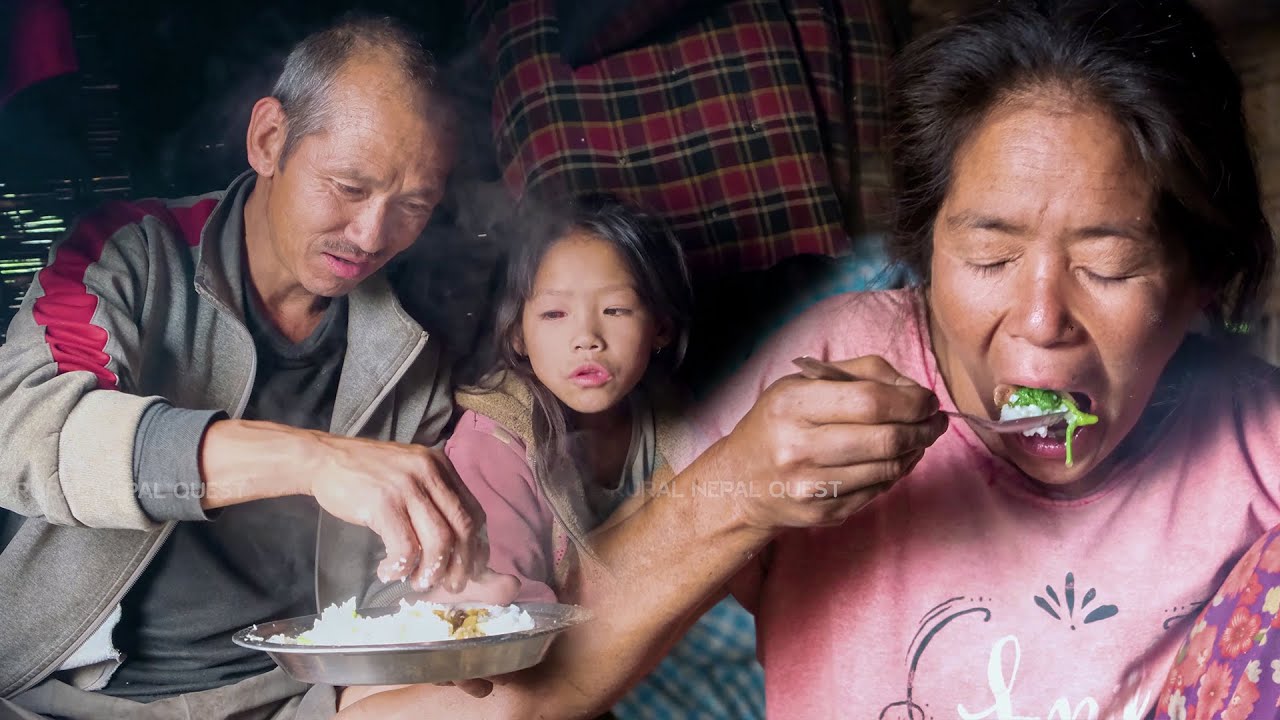 Family in the jungle || Season - 2 || Video - 11 || A family with cows ...