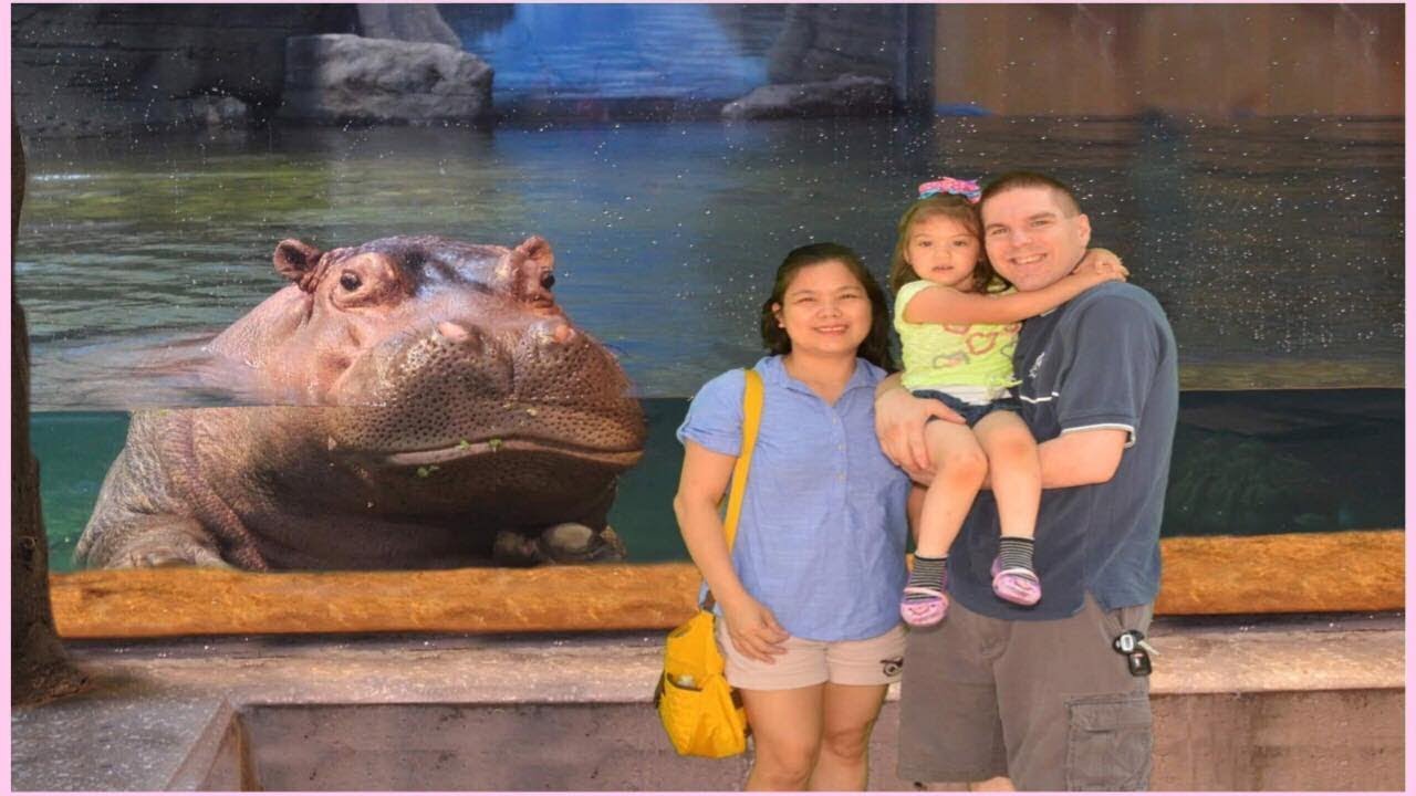 Adventure Aquarium Camden New Jersey TOUR | HIPPO Button and Genny ...