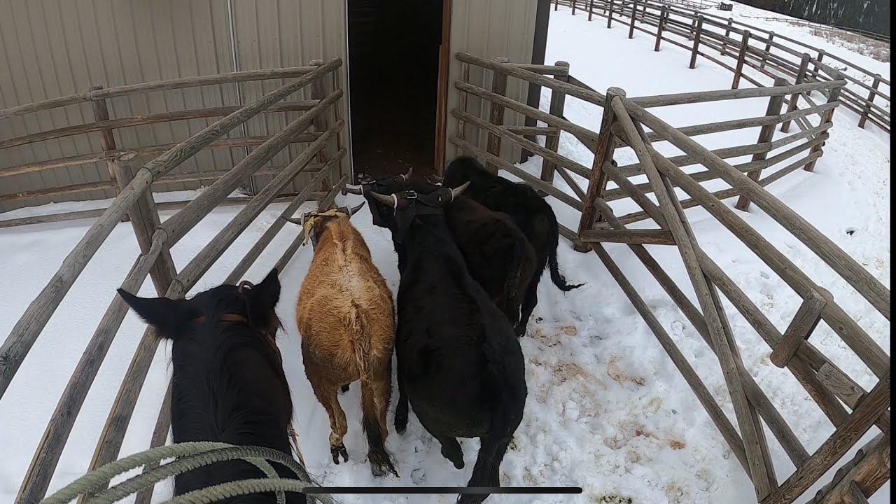 Let’s ROPE! - YouTube