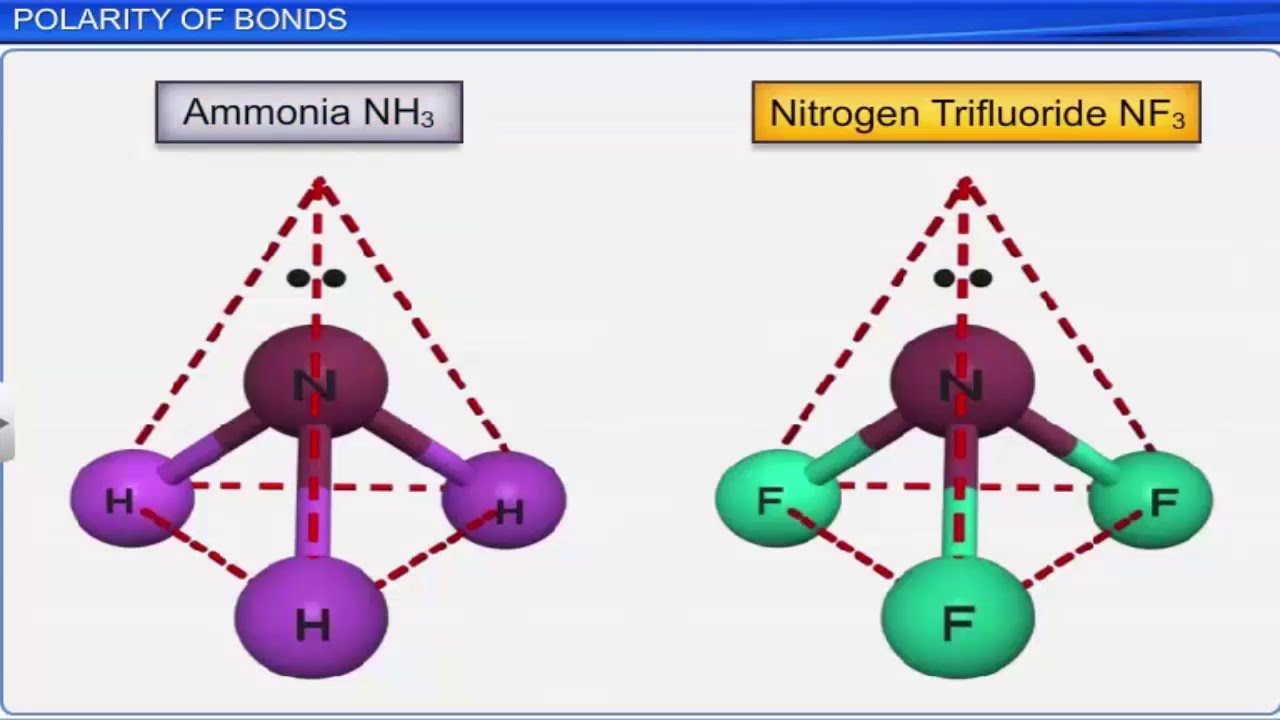 CBSE Class 11 Chemistry Chemical Bonding And Molecular Structure cbse-class-11-chemistry-chemical-bonding-and-molecular-structure