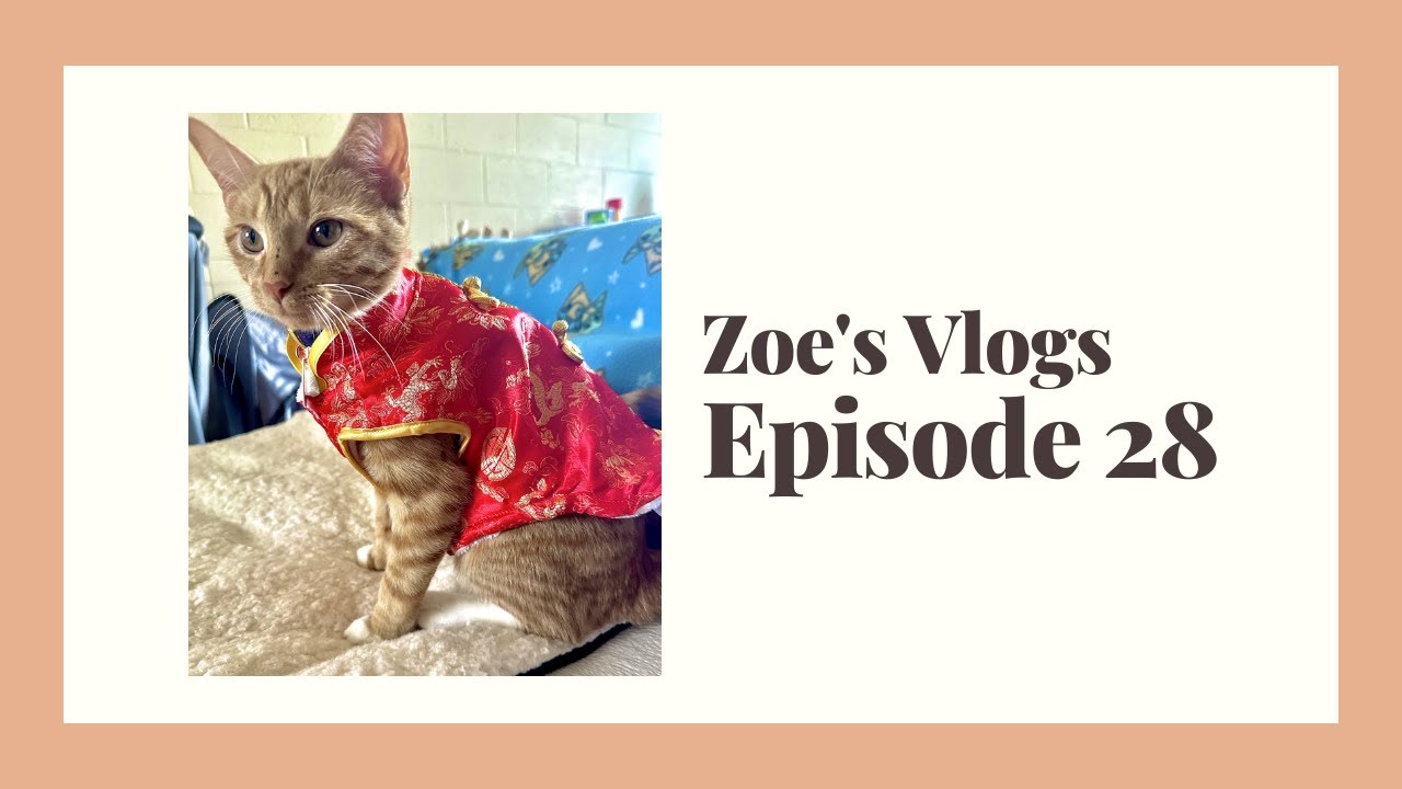 Zoe's Vlogs Episode 28 | Chinese New Year 2025 & Baking Cupcakes for ...