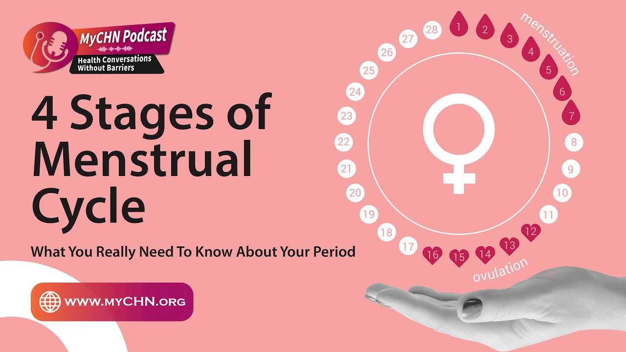 What You Need to Know About the Menstrual Cycle! - YouTube