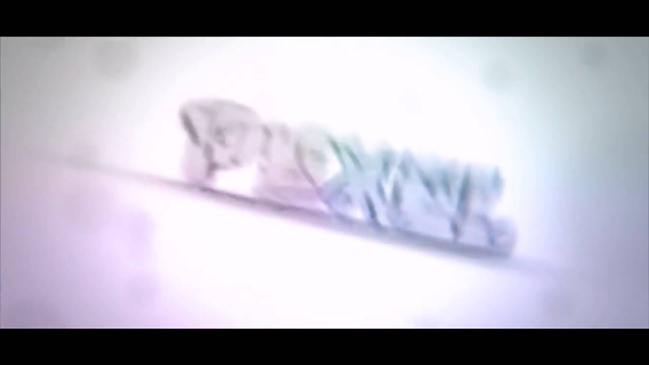 Intro #3「Pexel」 By Bİ Design-İlkay - YouTube