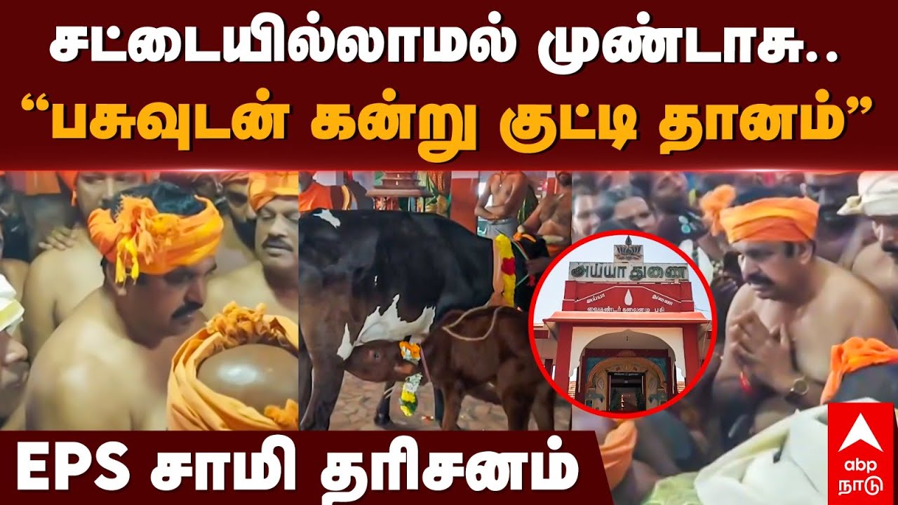 Edappadi Palanisamy in temple | சட்டையில்லாமல் முண்டாசு"பசுவுடன் கன்று குட்டி தானம்"EPS சாமி ...