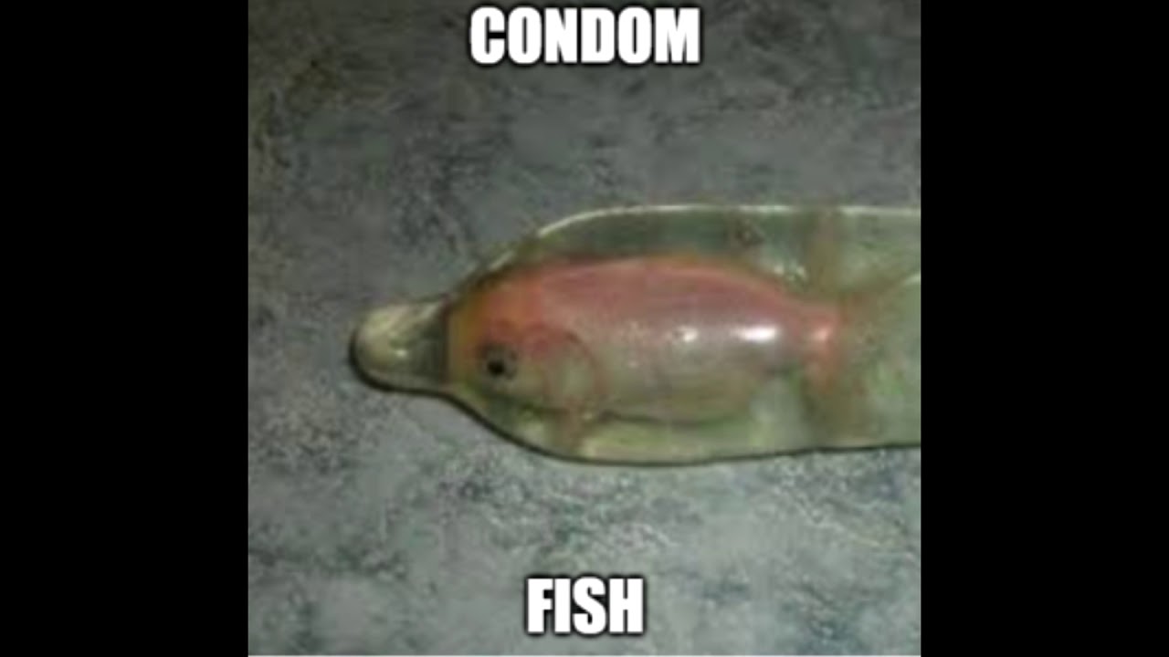 lebron jame song (condom fish remix bruh lebron james) coffin dance ...