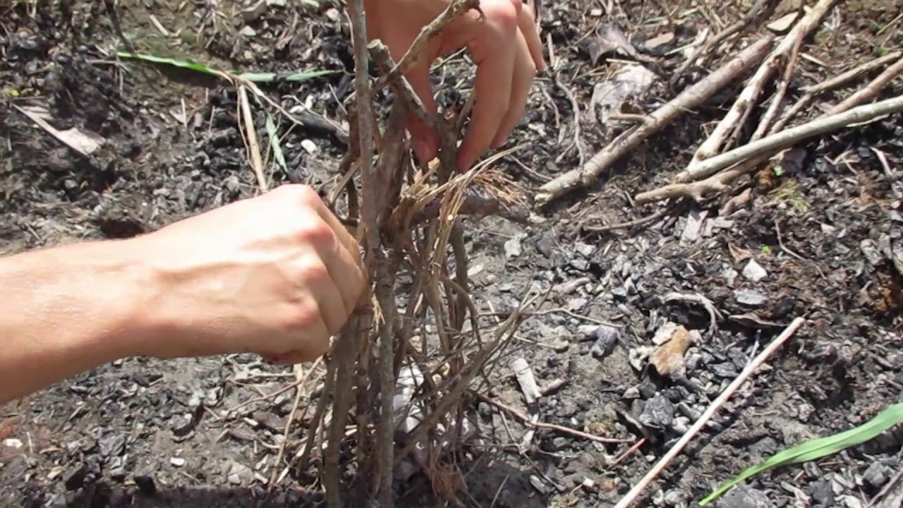 How to Build Survival Fire (Teepee) - YouTube