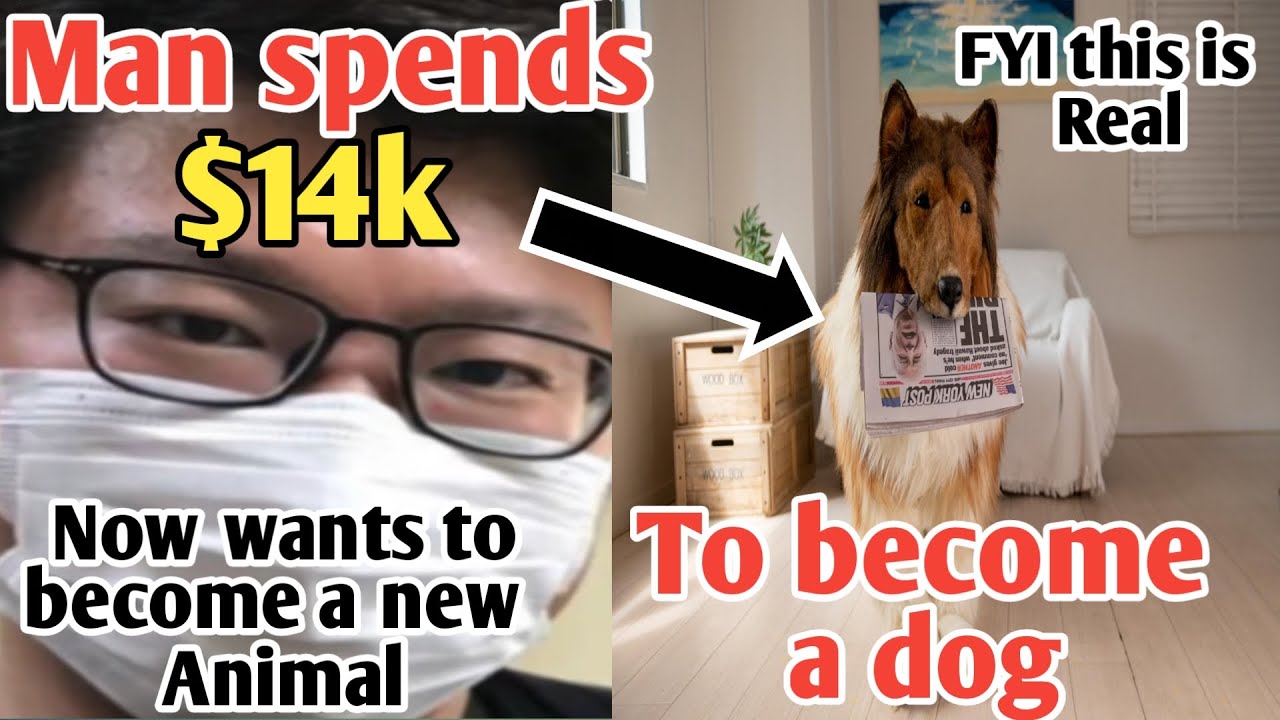Man Transforms into Dog: His Journey with a Realistic Dog Suit - YouTube