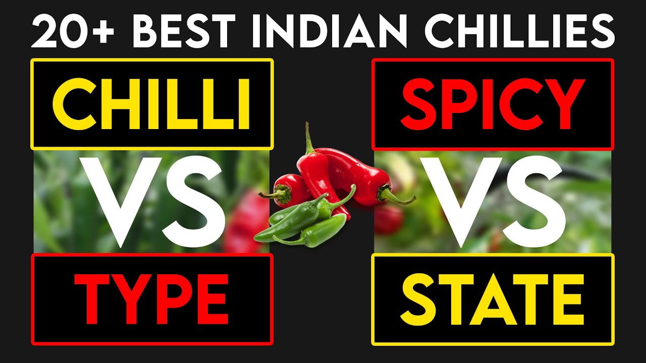 20 best chilli plant varieties in india | Best type of chilli | Chilli ...