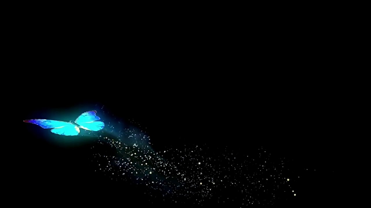 Butterfly Black screen - YouTube