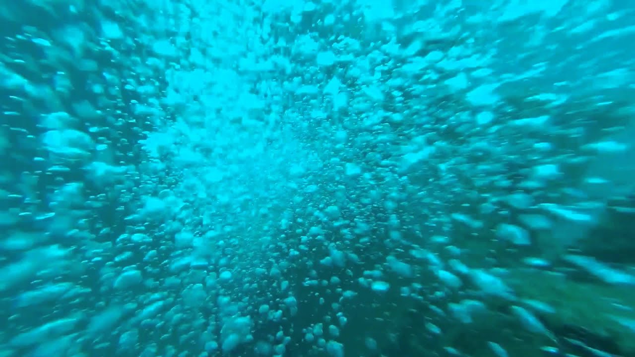 Wreck of SS Paris - YouTube