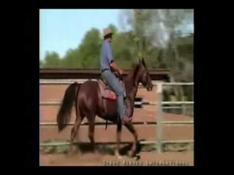 Steve Reeves riding his Morgan horses on his ranch - YouTube