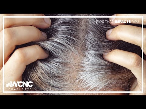 Scientists explore potential treatment to reverse gray hair