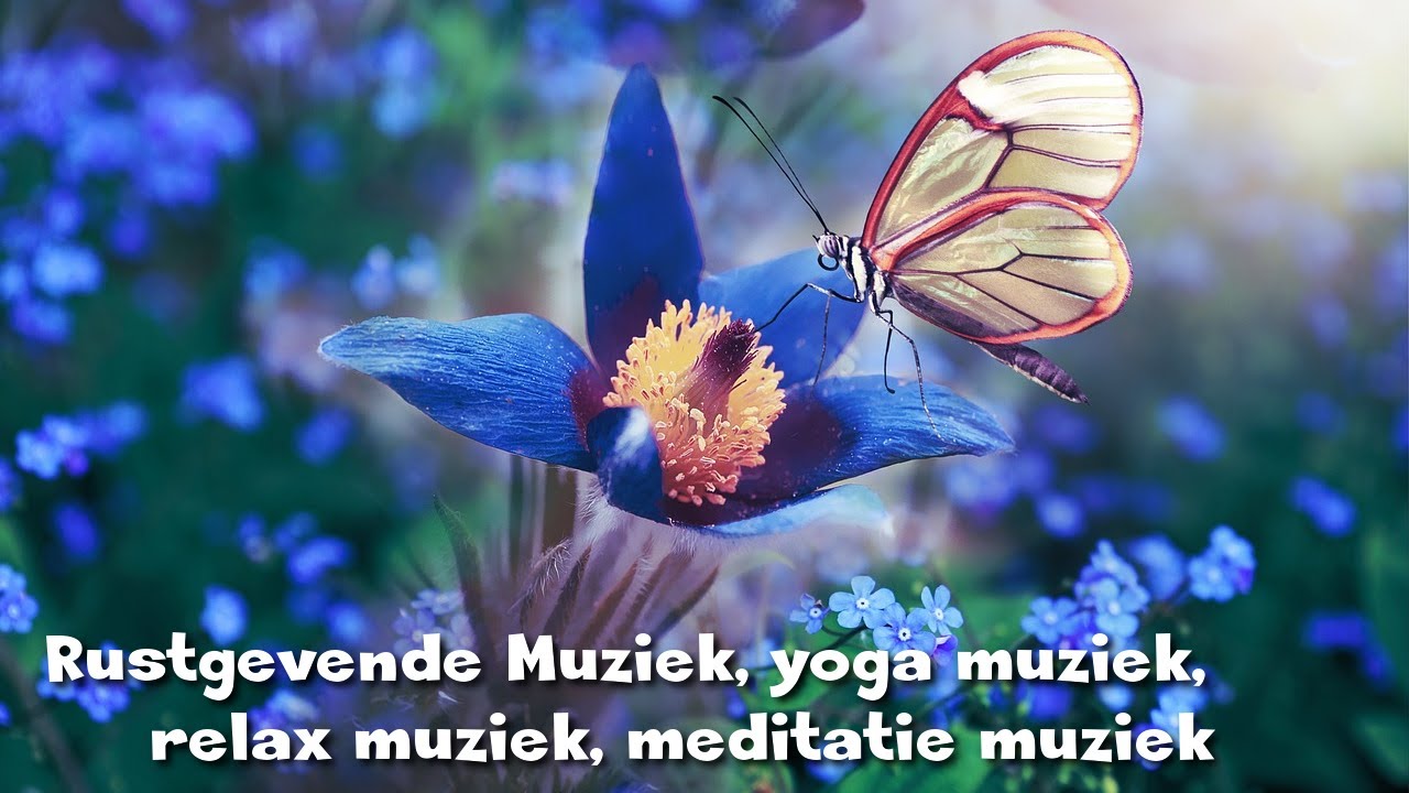 Rustgevende Muziek, yoga muziek, relax muziek, meditatie muziek - YouTube