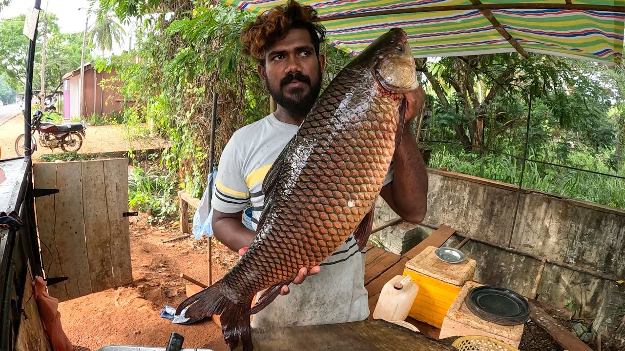 Never Seen! Big 34Kg Golden Carp Fish Cutting Skills In Village Fish ...