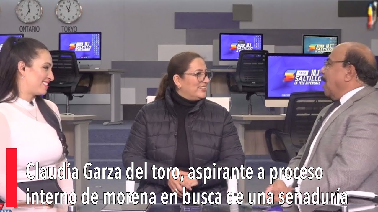 Claudia Garza del Toro, aspirante a proceso interno de Morena en busca ...