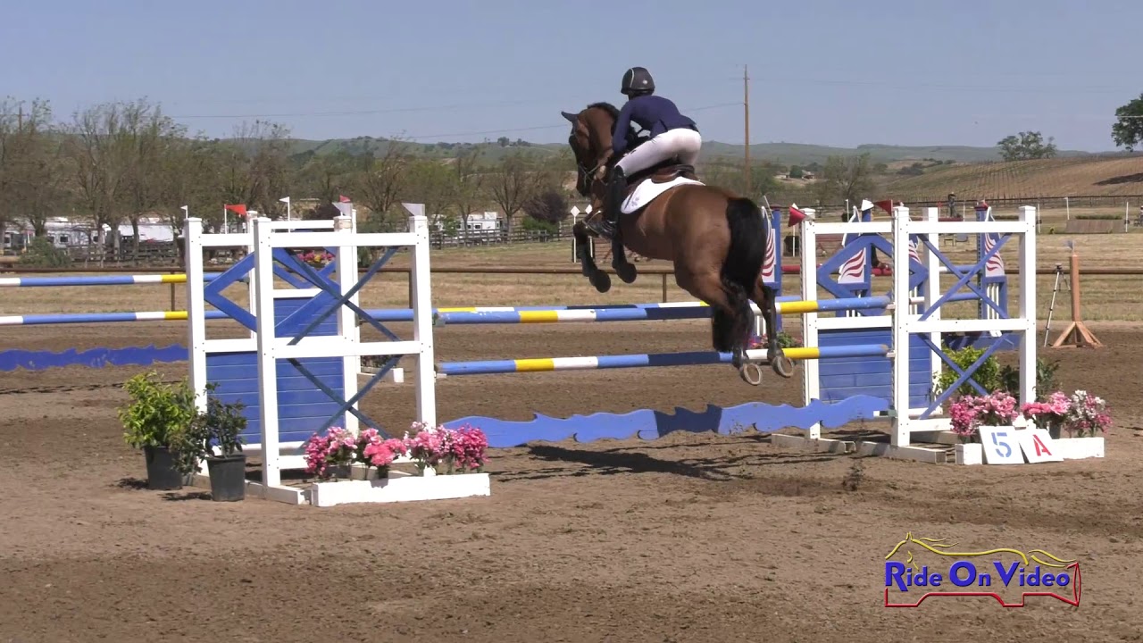 033S Jennifer Salinger on Lasse 73 CCI3* Long Show Jumping Twin Rivers ...