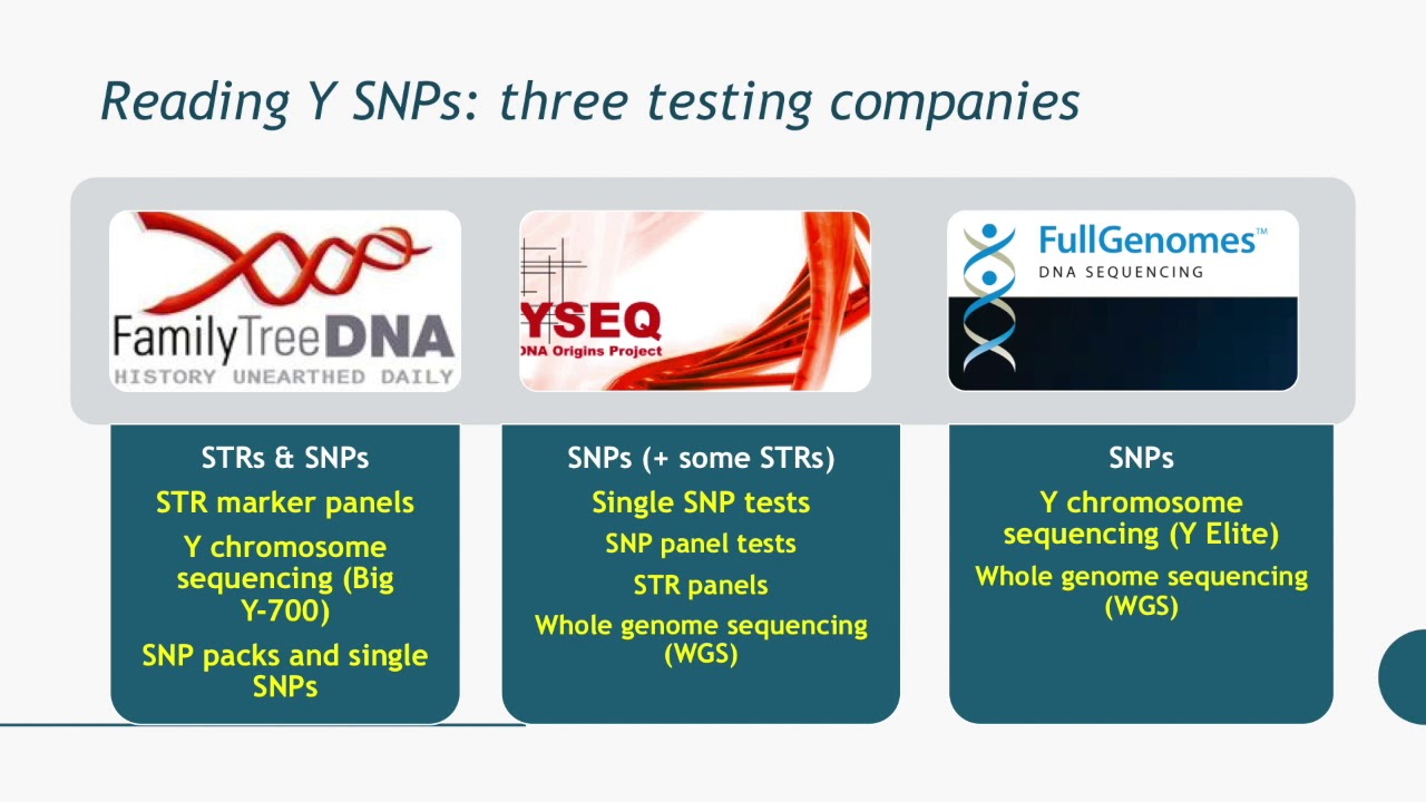Making the Most of your Y-DNA Test (John Cleary) - YouTube