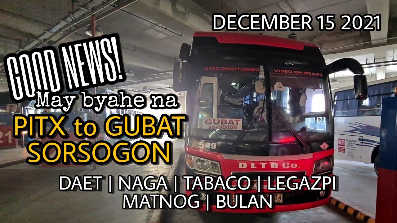 DLTB PROVINCIAL BUS UPDATE 2021 | PITX MANILA TO GUBAT, DAET, NAGA ...