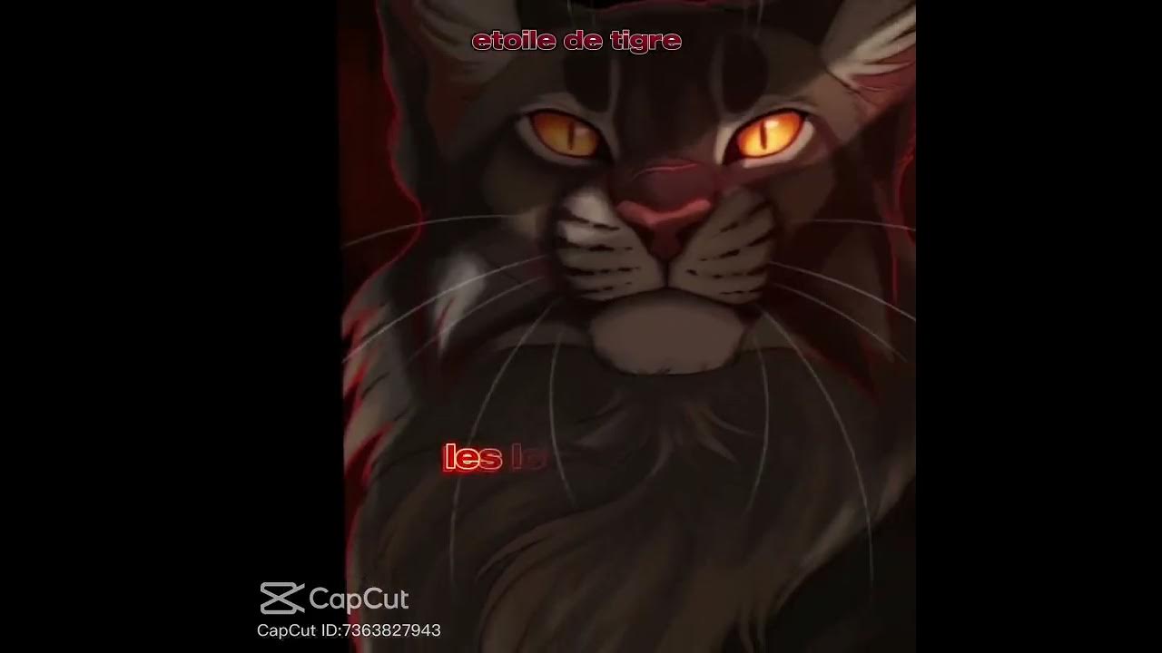 Guerre des clans, Warriors cats - YouTube