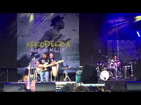 Marcus Miller Live at Budapest Park 2015-07-05