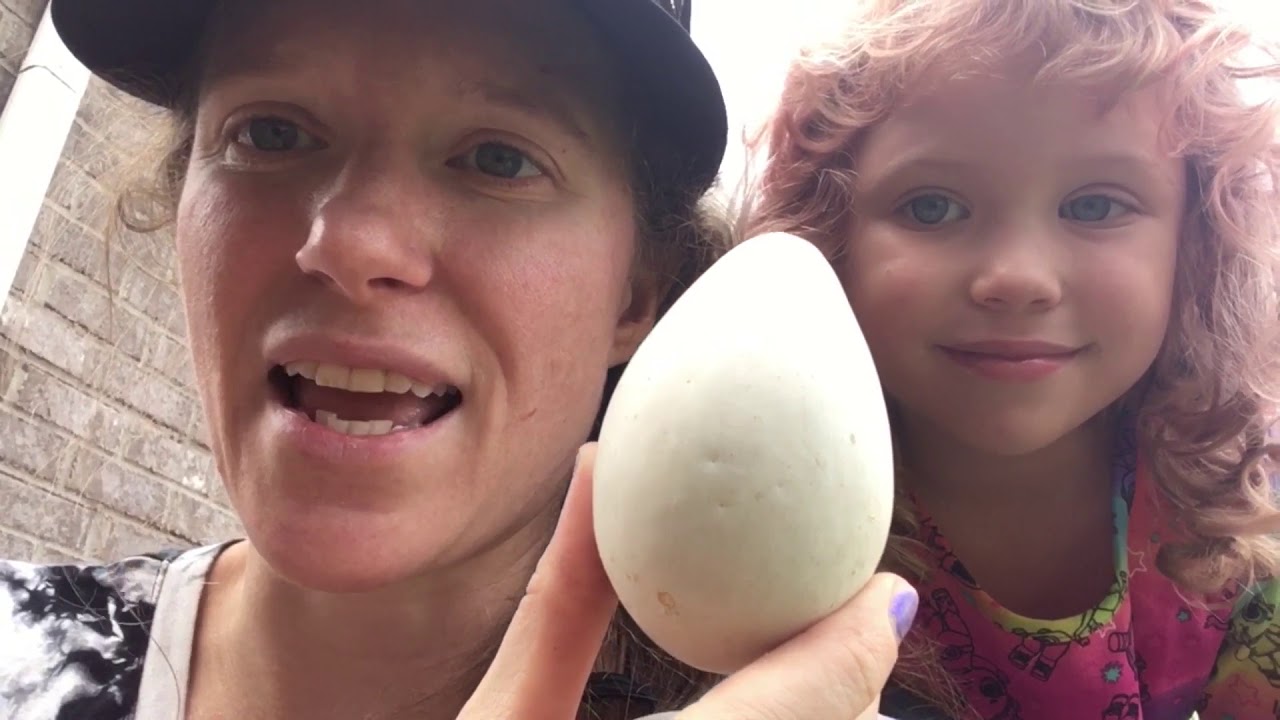 Dino Eggs and Composting without a Composter - YouTube