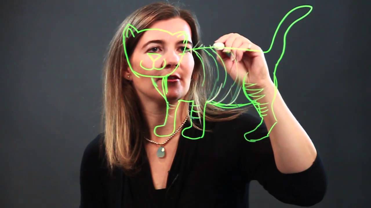 How to Draw a Cat in 3D - YouTube