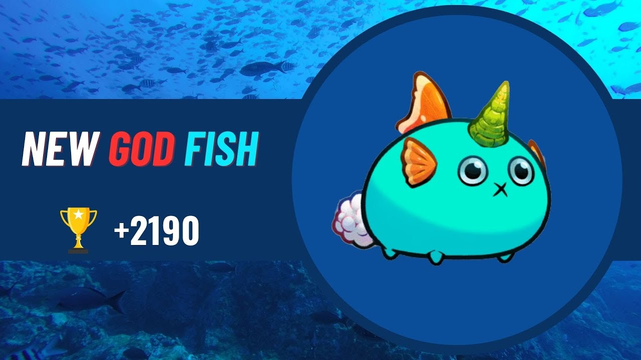 New God Fish 100% critical | Axie Classic - YouTube