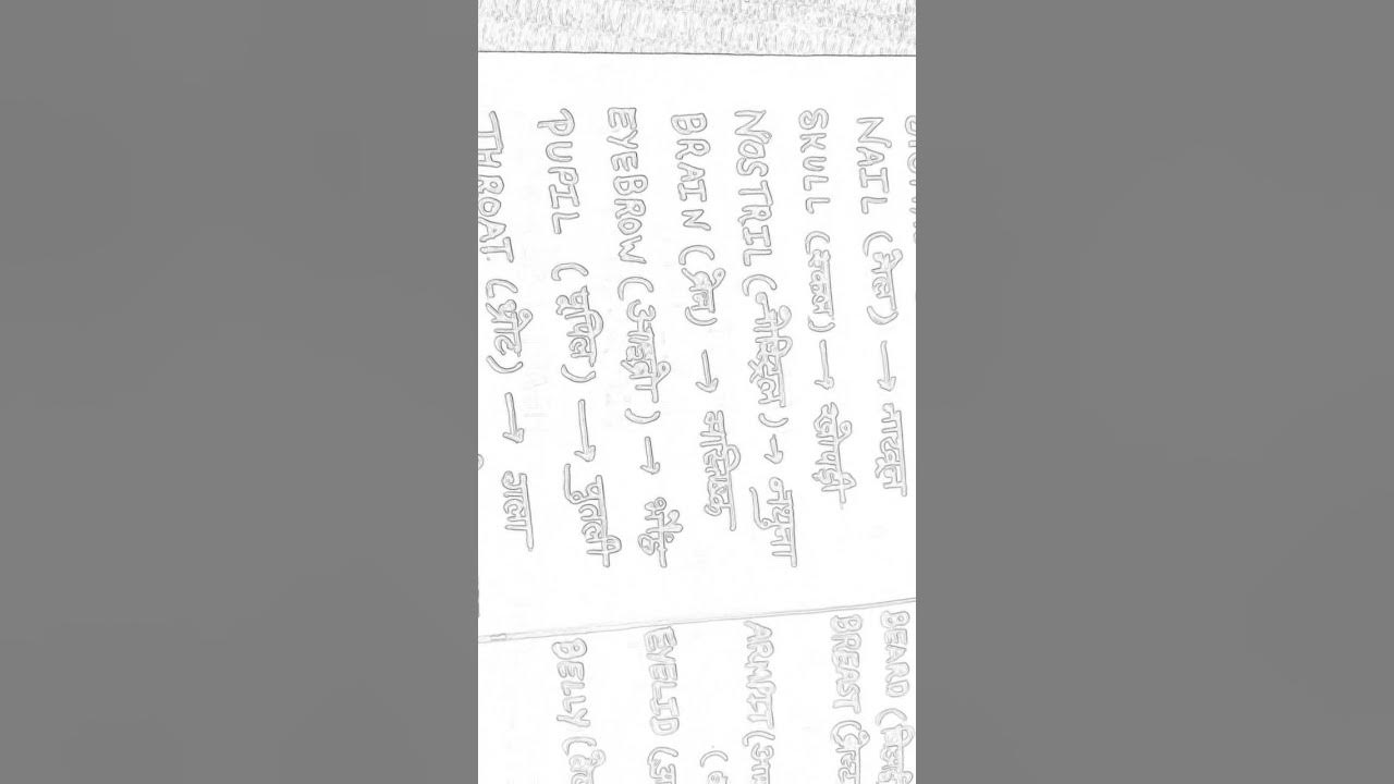 All Of Body Parts Name YouTube all-of-body-parts-name-youtube