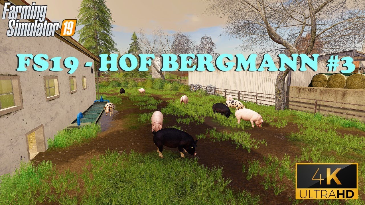 PIGS & GOATS THIS TIME! - FS19 Hof Bergmann #3 - YouTube
