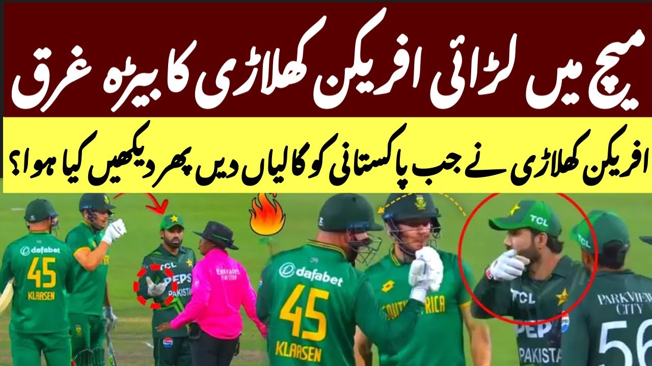 Players fight during a cricket match || How many players are injured ...