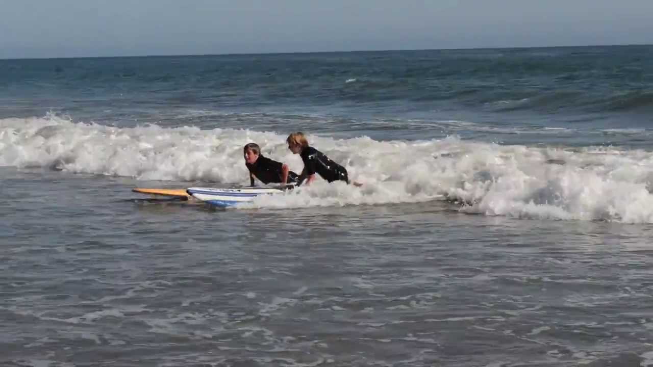 Seaweed Zombies - YouTube
