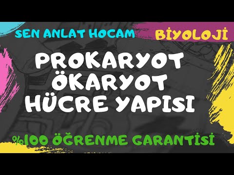 YKS HÜCRE KONU ANLATIMI | 17 | PROKARYOT-ÖKARYOT HÜCRE| TYT BİYOLOJİ ✅