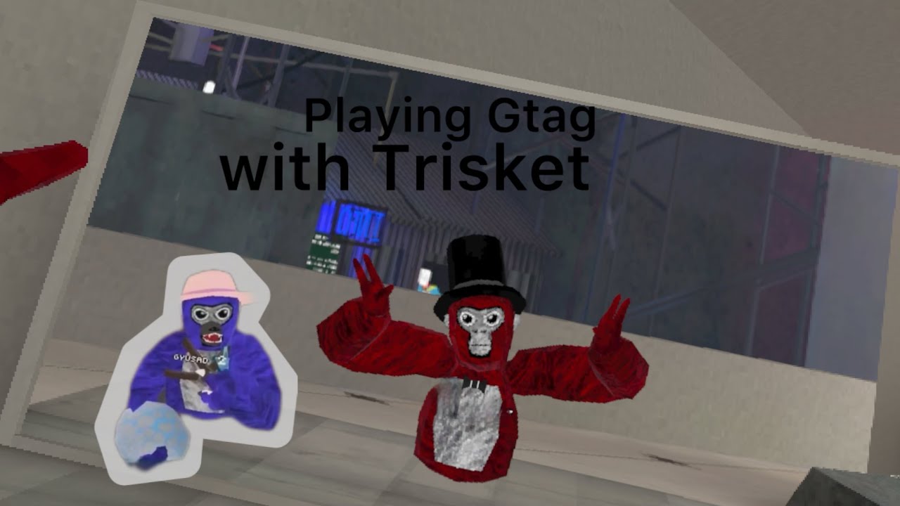 Playing Gtag with Trisket - YouTube