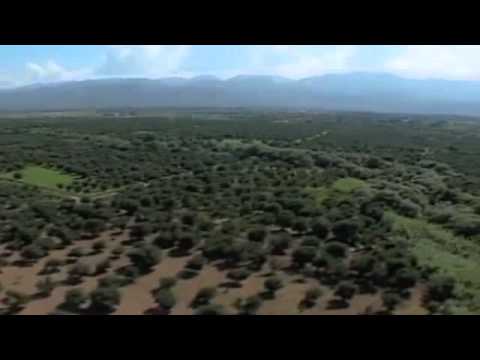 Rise and Fall of Sparta Origins - YouTube