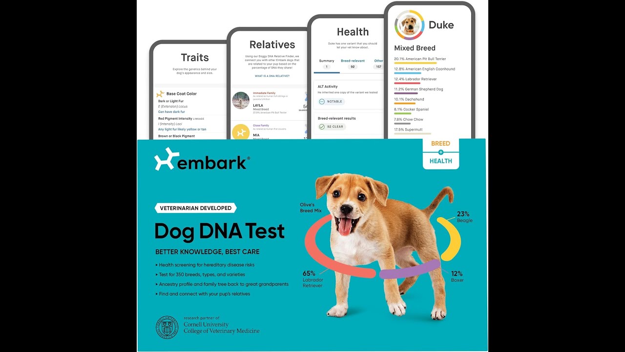 Embark Breed & Health Kit Dog DNA Test Discover Breed Ancestry Relative ...