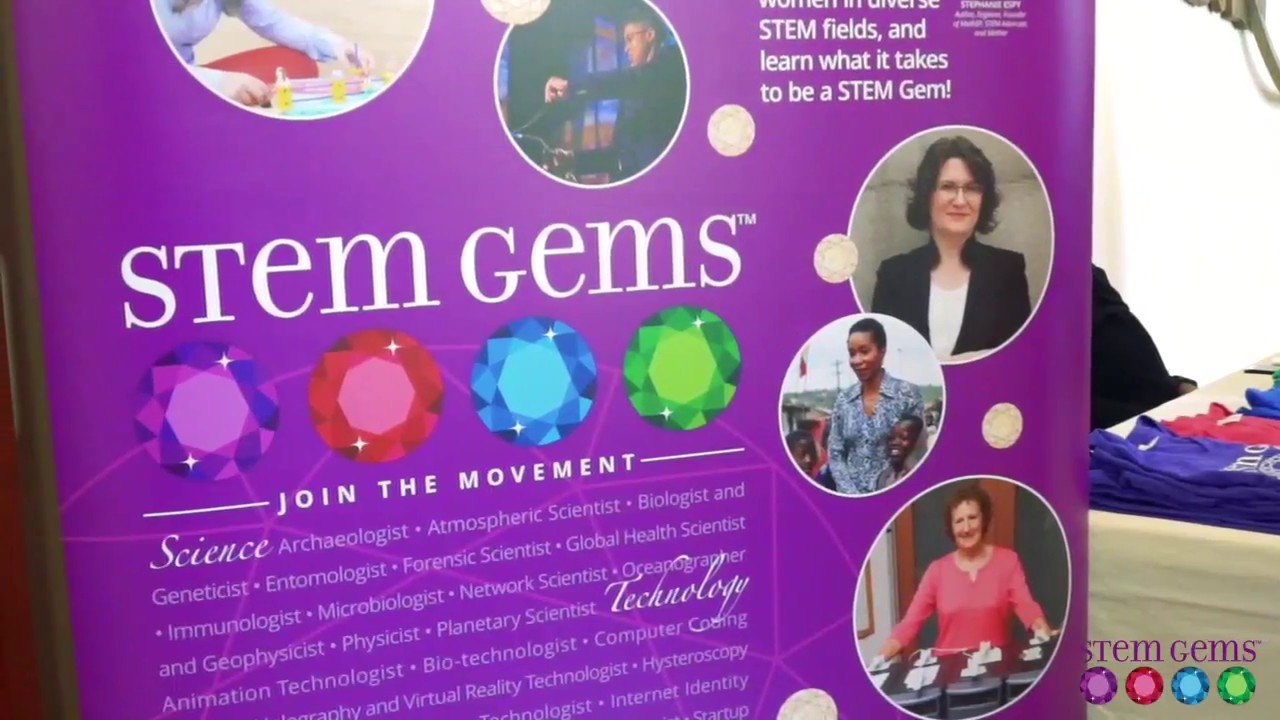 STEM Gems Interactive Panel Discussion (Science, Technology ...