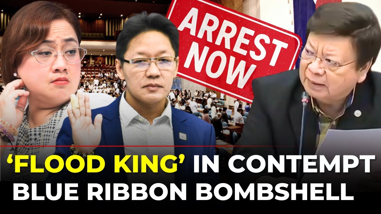 Philippines LIVE: Blue Ribbon Committee Cites Curlee Discaya In ...