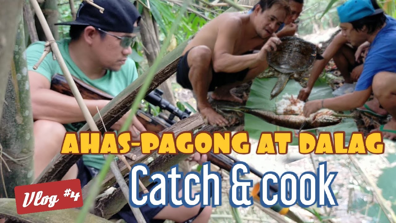 Ep-4 Tiksay fish hunting | Dalag at Ahas-pagong | RustumOfficial | Salo ...