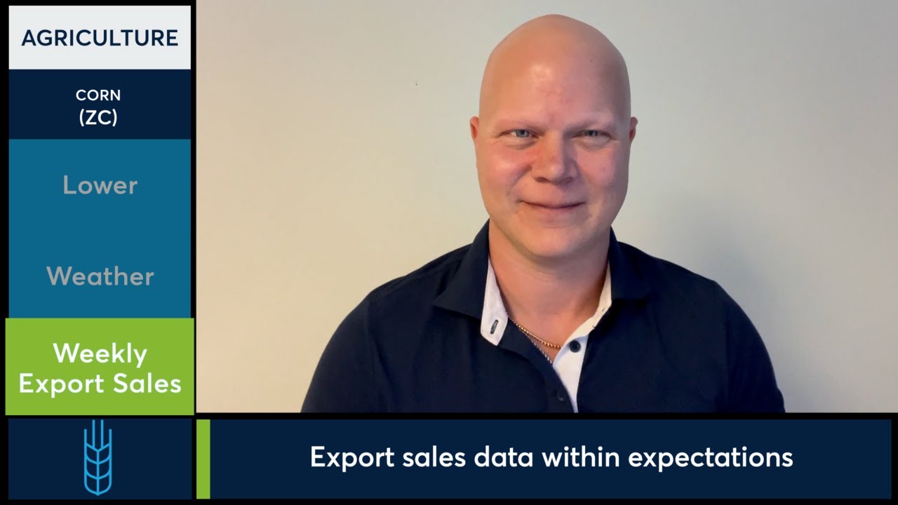 Corn fails at resistance, closes lower on Thursday; 3/14/24 - YouTube