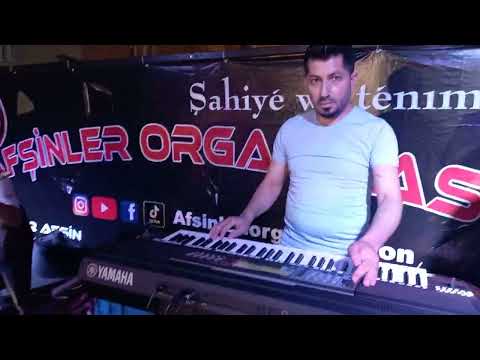 çınar botan Siirt Düyünü 2022