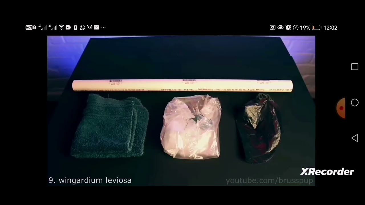 Science G7 First term Unit 2 Lesson 1 - YouTube