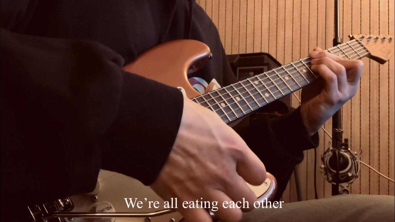 Juliet Ivy Were All Eating Each Other Lyrics Guitar Cover 기타커버