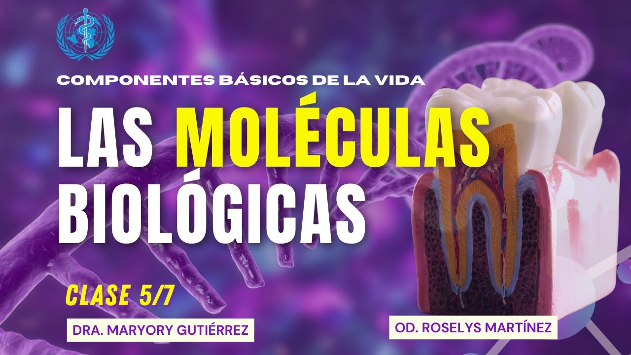 🔬 Moléculas Biológicas: Fundamentos de la Vida 🌱 | Curso de Bioquímica ...