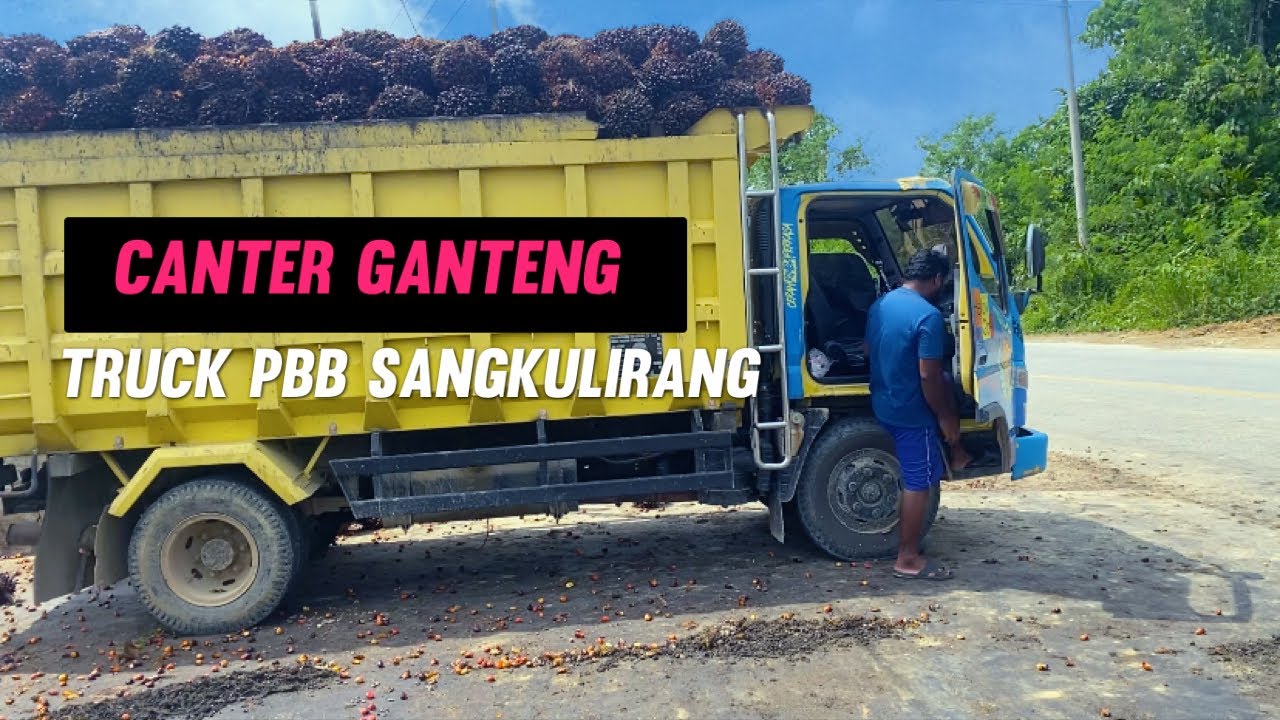 Canter Tampan muatan TBS Sawit RAMP Simpang Kiffi - YouTube