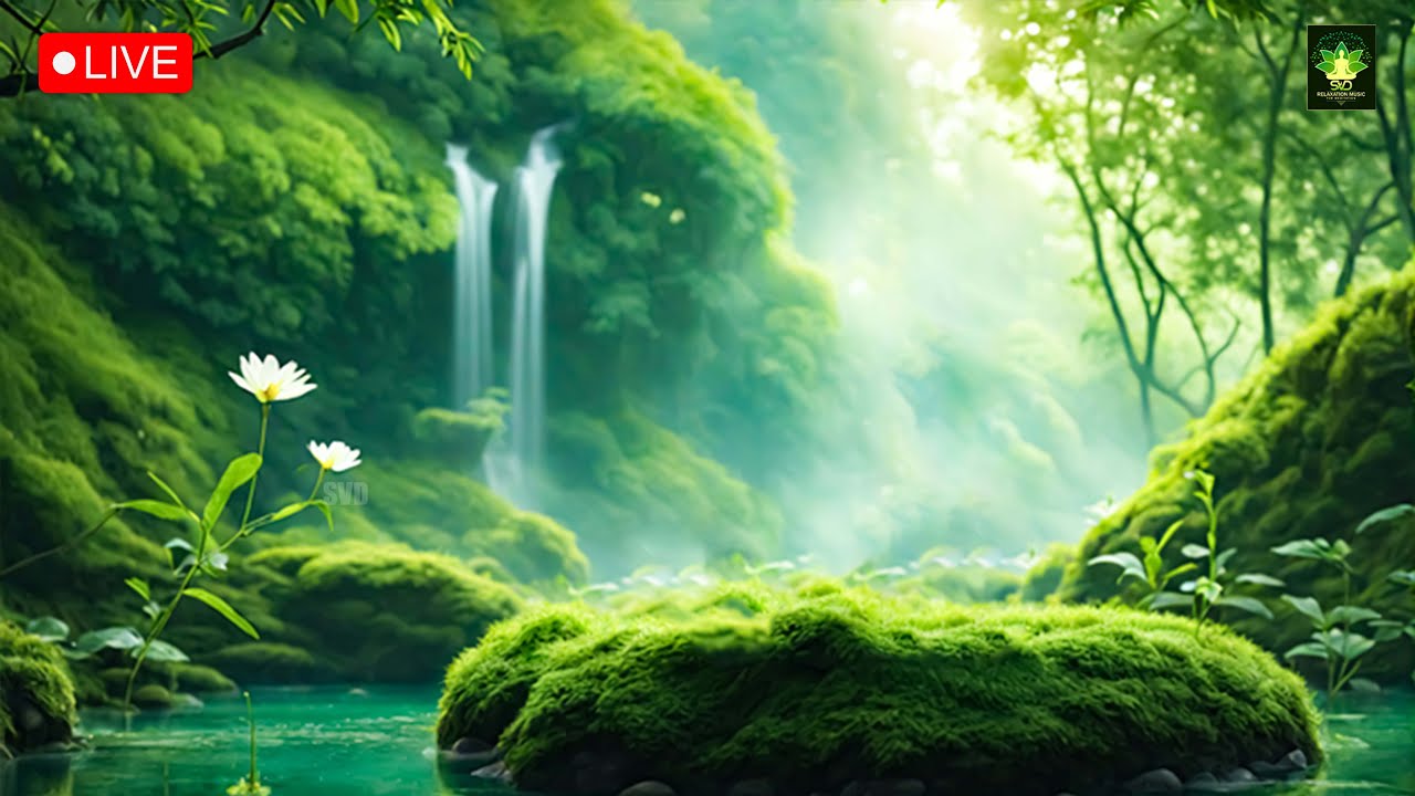 LIVE| Relaxing Music 24/7, Stress Relief Music, Meditation Music, Sleep ...