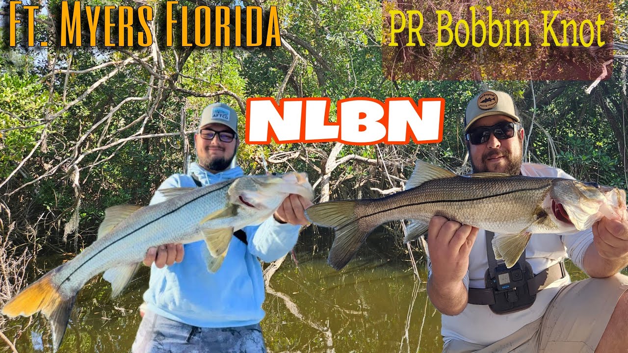 The Snook Wanted NLBN's and How To Tie a PR Bobbin Knot with a ...