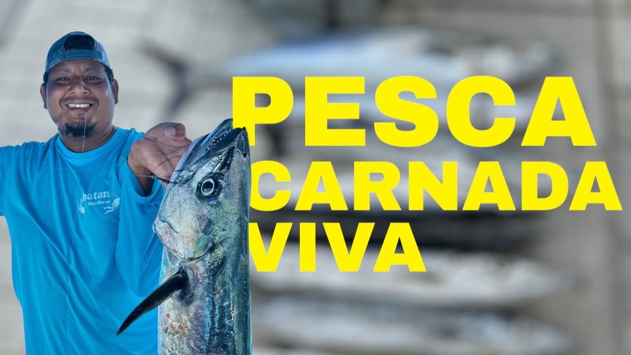 Resumen de capturas, Pesca con carnada viva con Capitán Chofan. Omoa ...