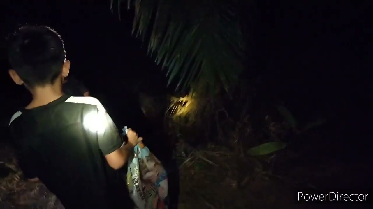begiga ke pama malam ari..lalu tetemuka telu ular benung netas mayuh ...